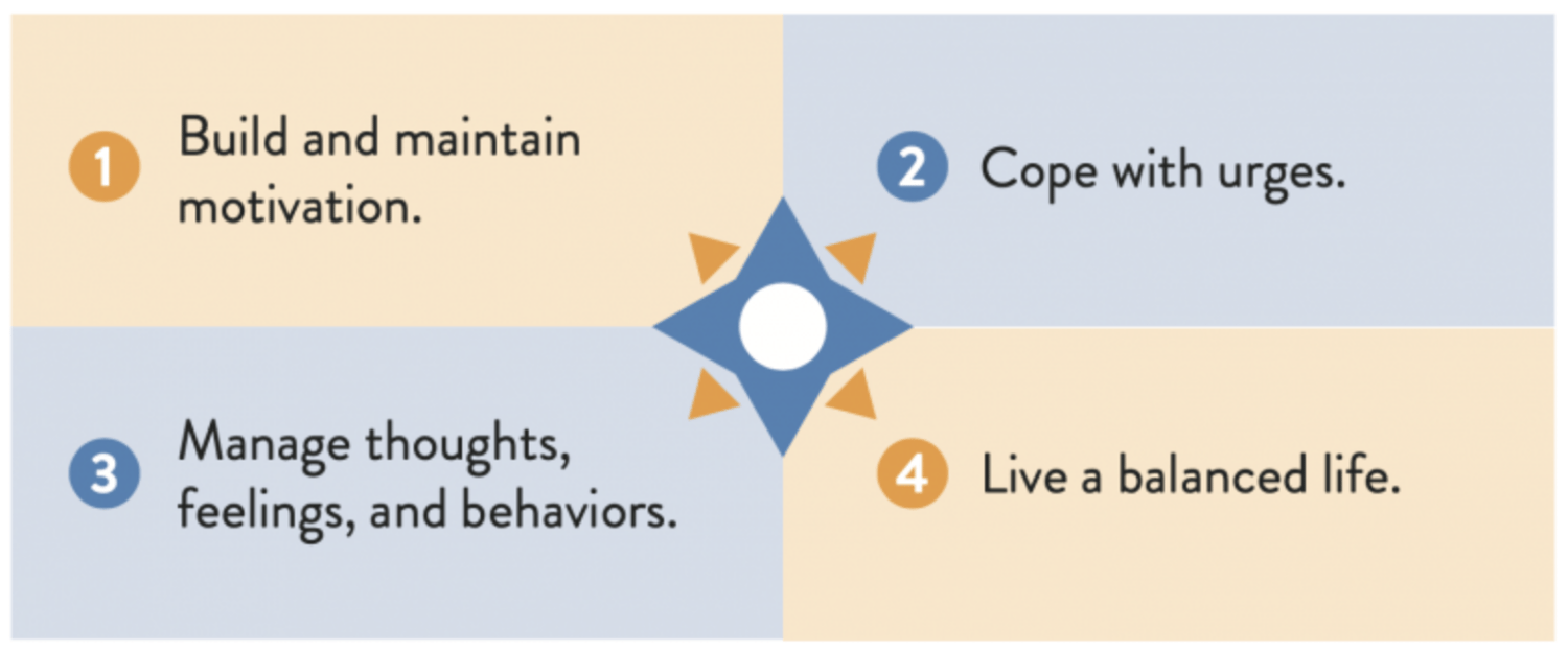 Strategic Plan 2021-22: Leading the Future of Recovery - SMART Recovery